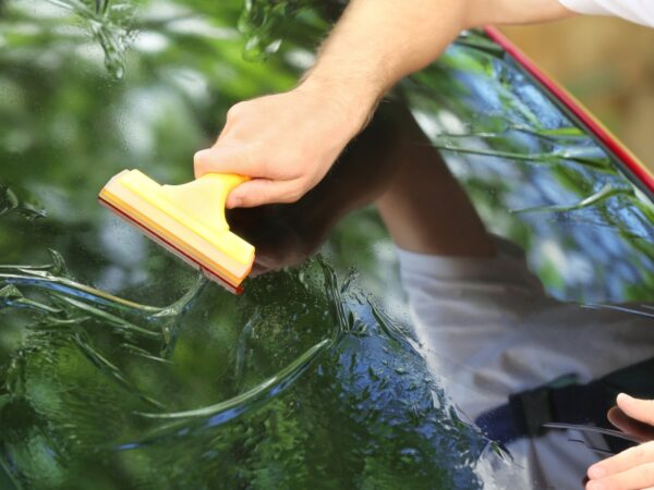 Windscreen Protection Film for Optimal Safety | Wraps & PPF